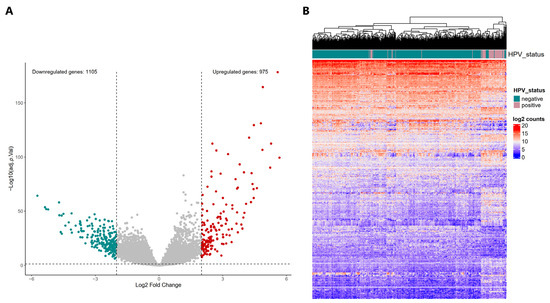 Association of Gene Expression Profiles in HPV-Positive Head and Neck ...