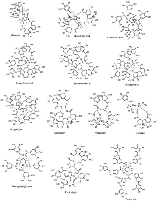 Mechanistic Perspectives on Herpes Simplex Virus Inhibition by Phenolic ...