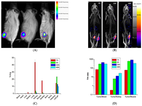 Exploring the Therapeutic Potential of 177Lu-PSMA-617 in a Mouse Model ...