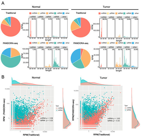 PANDORA-Seq Unveils the Hidden Small Non-Coding RNA Landscape in Hypopharyngeal Carcinoma