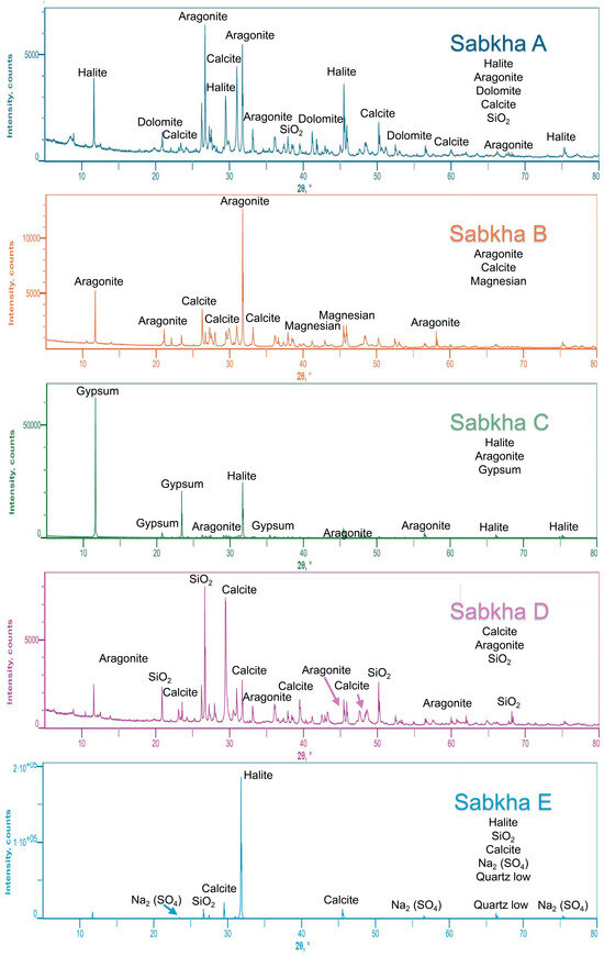 Comparing Protein Stability in Modern and Ancient Sabkha Environments ...