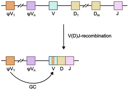 Insights on SNPs of Human Activation-Induced Cytidine Deaminase AID