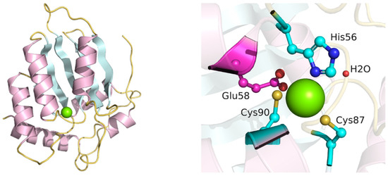 Insights on SNPs of Human Activation-Induced Cytidine Deaminase AID