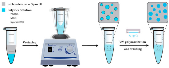 A Simple Vortex-Based Method for the Generation of High-Throughput ...