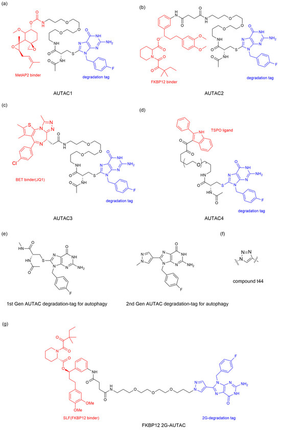 Targeted Degradation Technologies Utilizing Autophagy