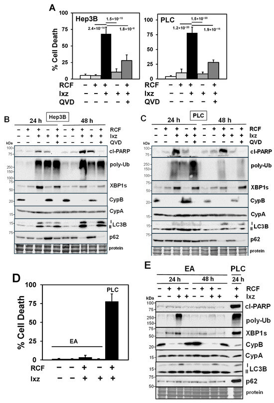 A Novel Chemotherapy Combination to Enhance Proteotoxic Cell Death in ...