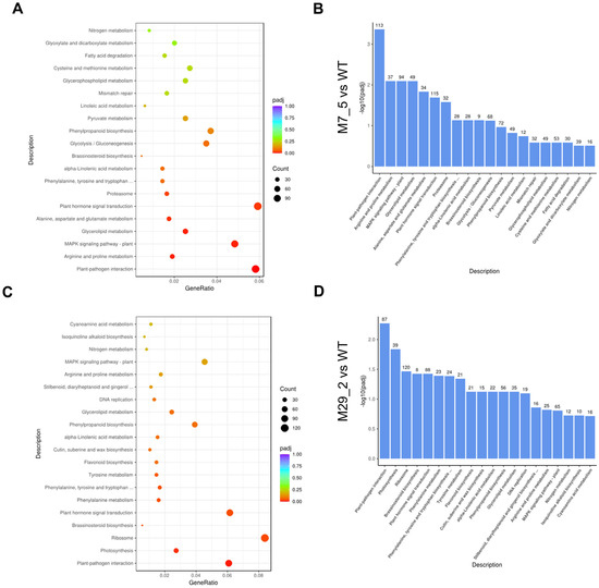 Comparative Transcriptome Analysis in Tomato Fruit Reveals Genes ...
