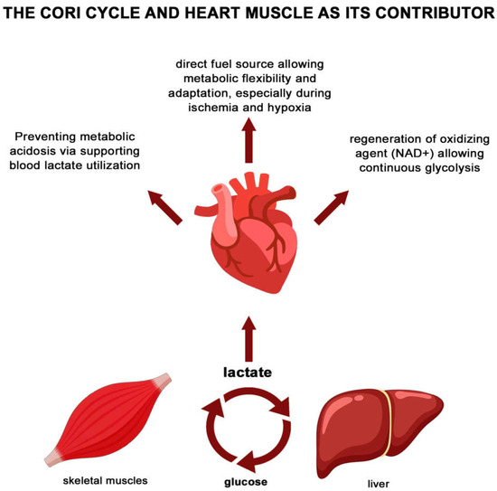 Lactate in Heart Failure