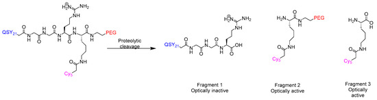 Innovative Peptide Therapeutics in the Pipeline: Transforming Cancer ...