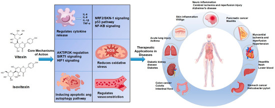 Dietary Flavonoids Vitexin and Isovitexin: New Insights into Their ...