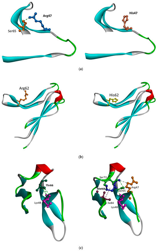 TREM2 in Neurodegenerative Disorders: Mutation Spectrum ...