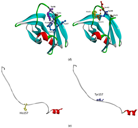 TREM2 in Neurodegenerative Disorders: Mutation Spectrum ...