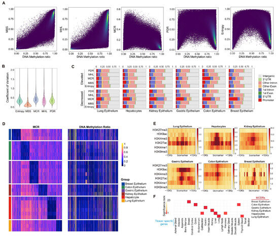 DNA Methylation Concurrence, Independent of DNA Methylation Ratios, Is Associated with Chromatin ...