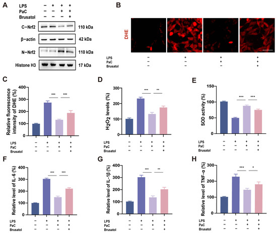 Parishin C Attenuates Oxidative Stress and Inflammation in HT22 ...