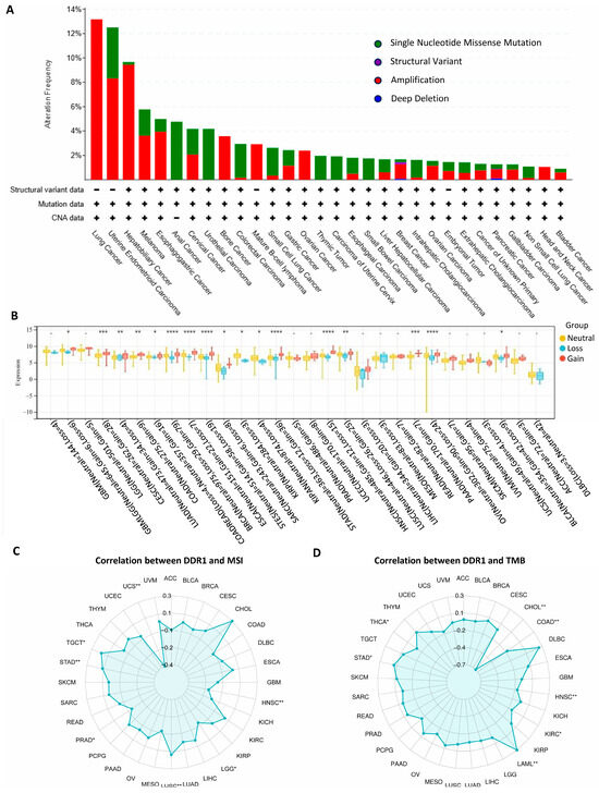 DDR1 Drives Collagen Remodeling and Immune Exclusion: Pan-Cancer ...
