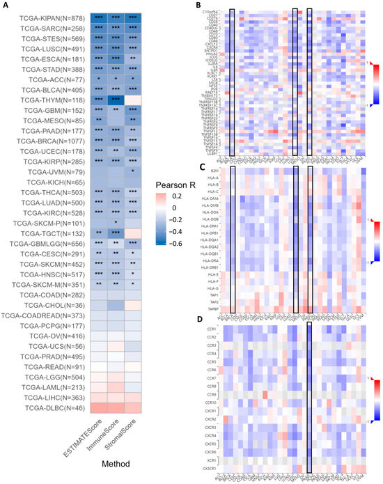 DDR1 Drives Collagen Remodeling and Immune Exclusion: Pan-Cancer ...