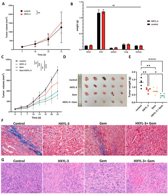 DDR1 Drives Collagen Remodeling and Immune Exclusion: Pan-Cancer ...