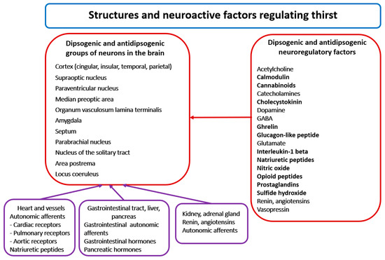Neurochemical Aspects of the Role of Thirst in Body Fluid Homeostasis ...