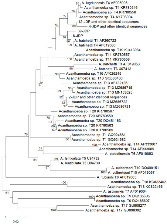 Molecular Species Identification and Genotyping of Free-Living Amoebae ...