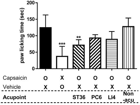 Mechanical Acupuncture at ST36 Attenuates Inflammatory Pain Involving ...