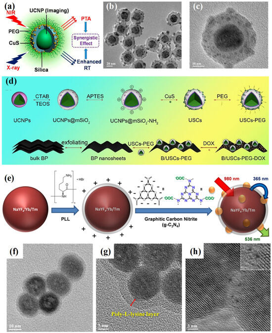 Self-Assembly Strategies in Upconversion Nanoparticle-Based ...