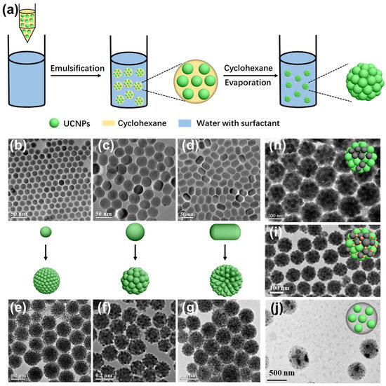 Self-Assembly Strategies in Upconversion Nanoparticle-Based ...