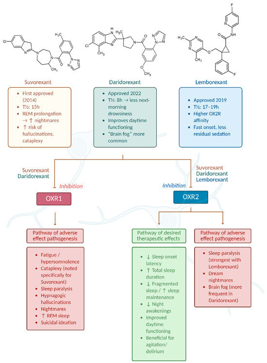 Targeting the Orexin System in the Pharmacological Management of ...