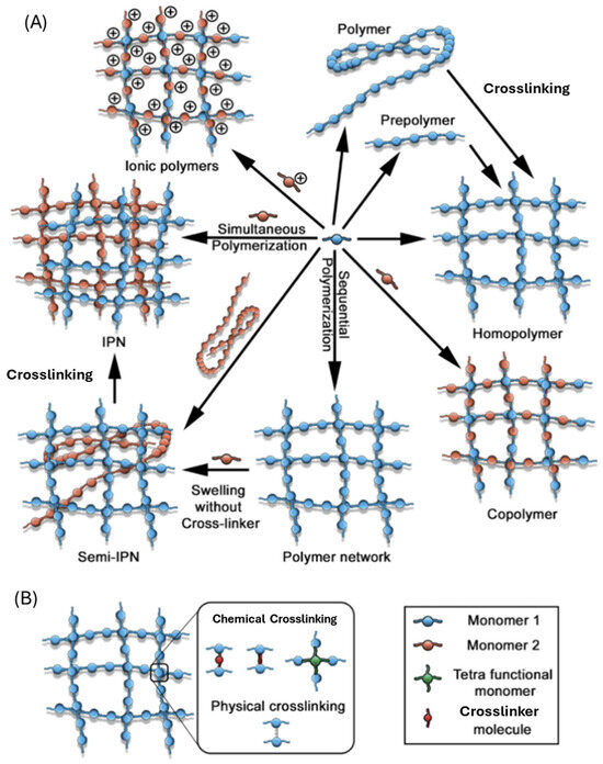 Functional Hydrogels: A Promising Platform for Biomedical and ...