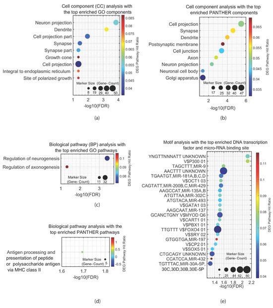 Digestive Neurobiology in Autism: From Enteric and Central Nervous ...