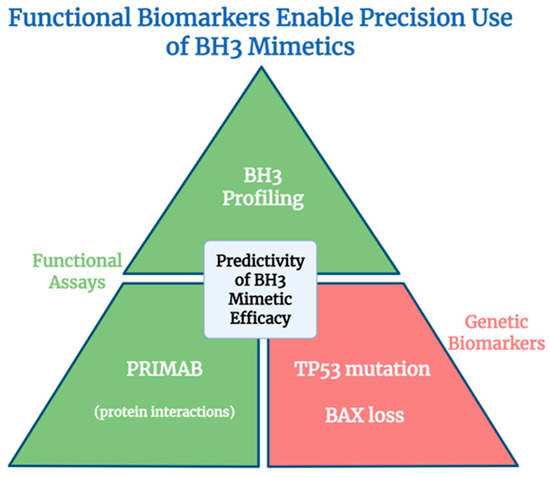 Targeting the BCL2 Family: Advances and Challenges in BH3 Mimetic-Based ...