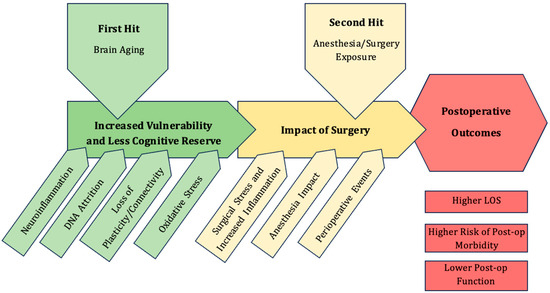 Molecular and Clinical Considerations for Anesthesia in the Aging Brain