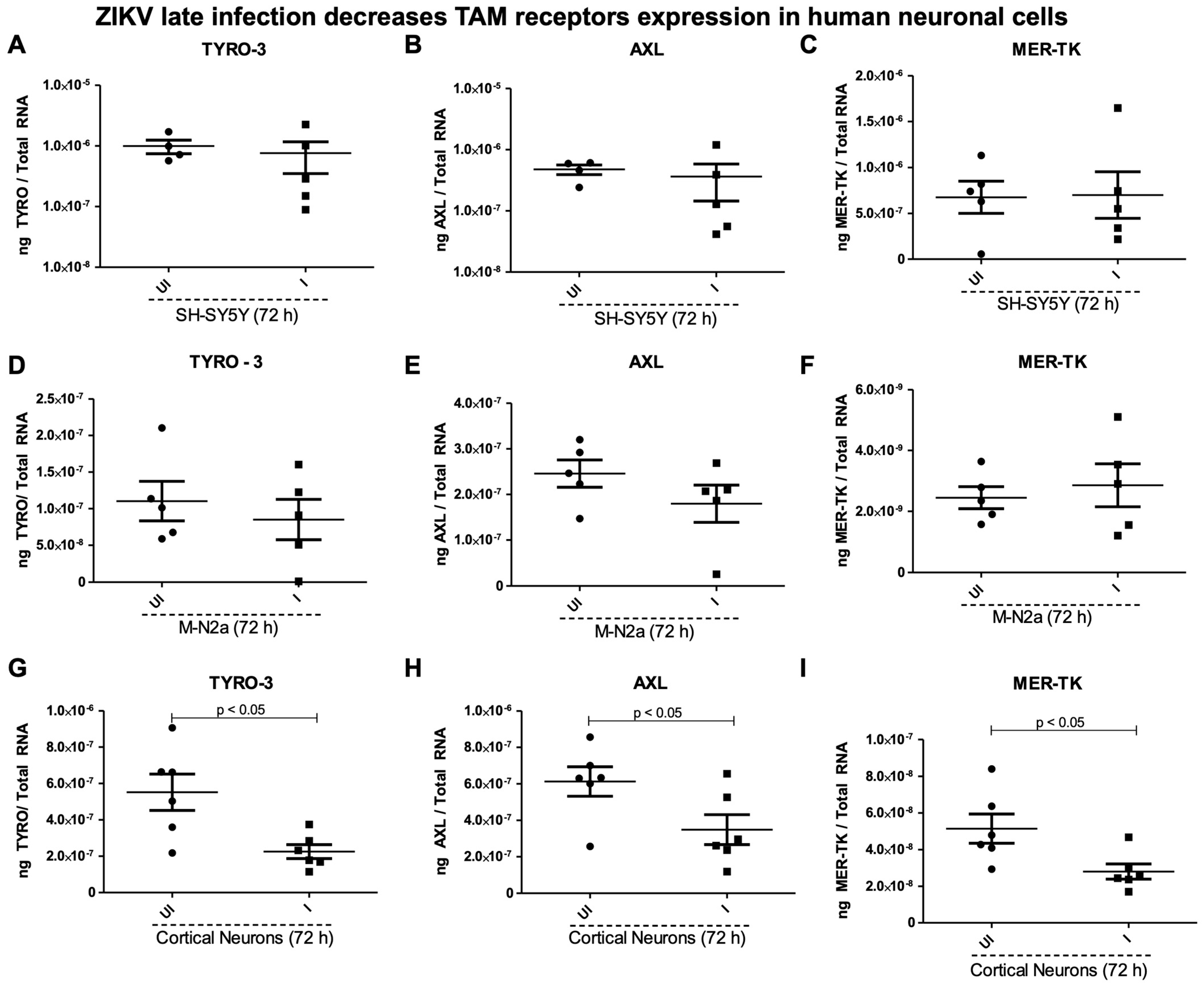 Zika Virus Infection Is More Highly Replicative and Transmissible by ...