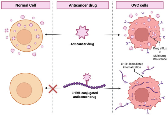 Luteinizing Hormone-Releasing Hormone (LHRH)-Targeted Treatment in ...