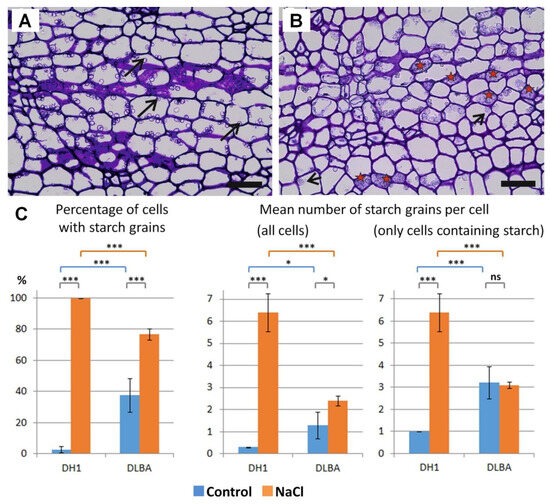 Histological and Immunohistological Alterations in Carrot Roots and ...