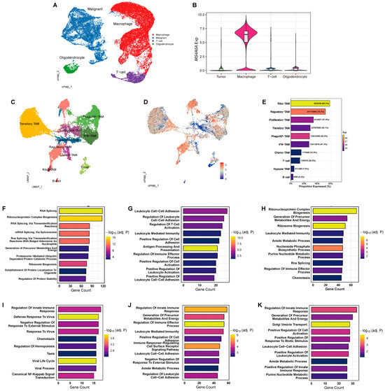 The Myeloid Biomarker MS4A6A Drives an Immunosuppressive ...