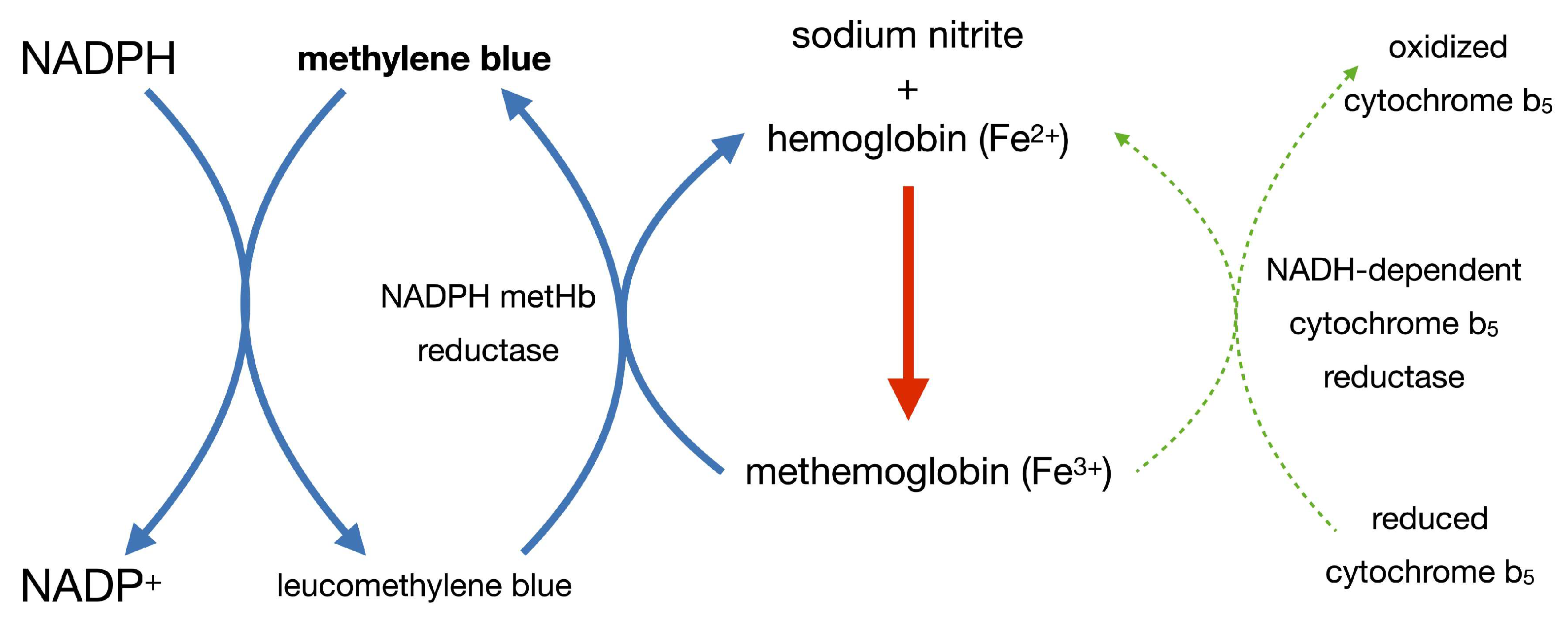 Double Fatal Sodium Nitrite Poisoning—Double Homicide, Extended Suicide ...