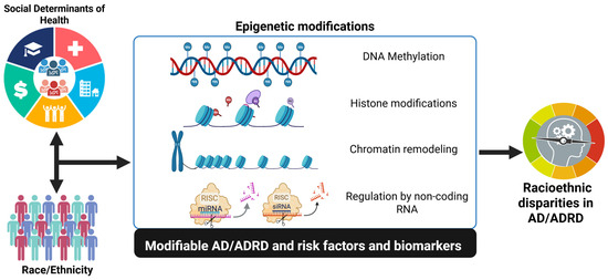 Epigenomics in Understanding Racial Disparities of Alzheimer’s Disease ...