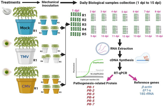 Ijpb Free Full Text Comparative Analysis Of The Expression Profiles