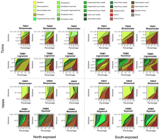 Humus Forms and Organic Matter Decomposition in the Swiss Alps