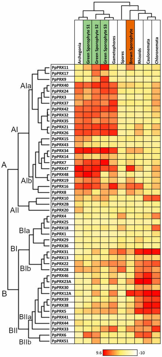 Genome-Wide Analysis of the Class III Peroxidase Gene Family in ...