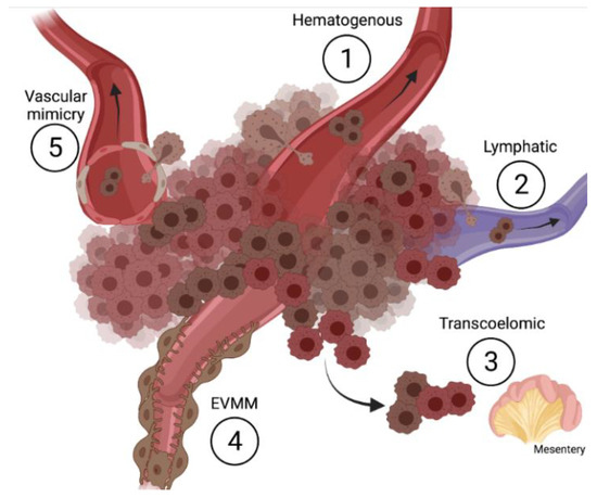 The Metastatic Capacity of Melanoma Reveals Alternative Pathways of ...