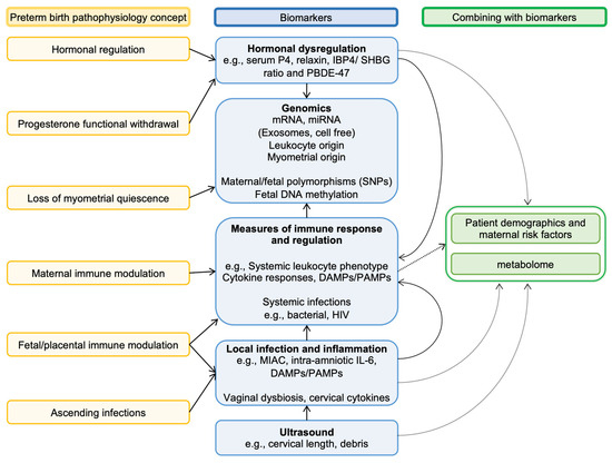 Does Precision-Based Medicine Hold the Promise of a New Approach to ...
