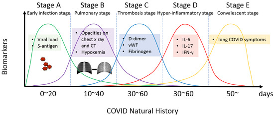 The Natural History of SARS-CoV-2-Incurred Disease: From Infection to ...