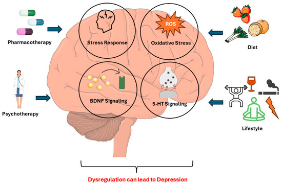 Advancements Exploring Major Depressive Disorder: Insights on Oxidative ...