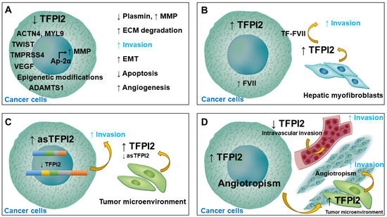 Dual Role of Tissue Factor Pathway Inhibitor 2—A Novel Serodiagnostic ...