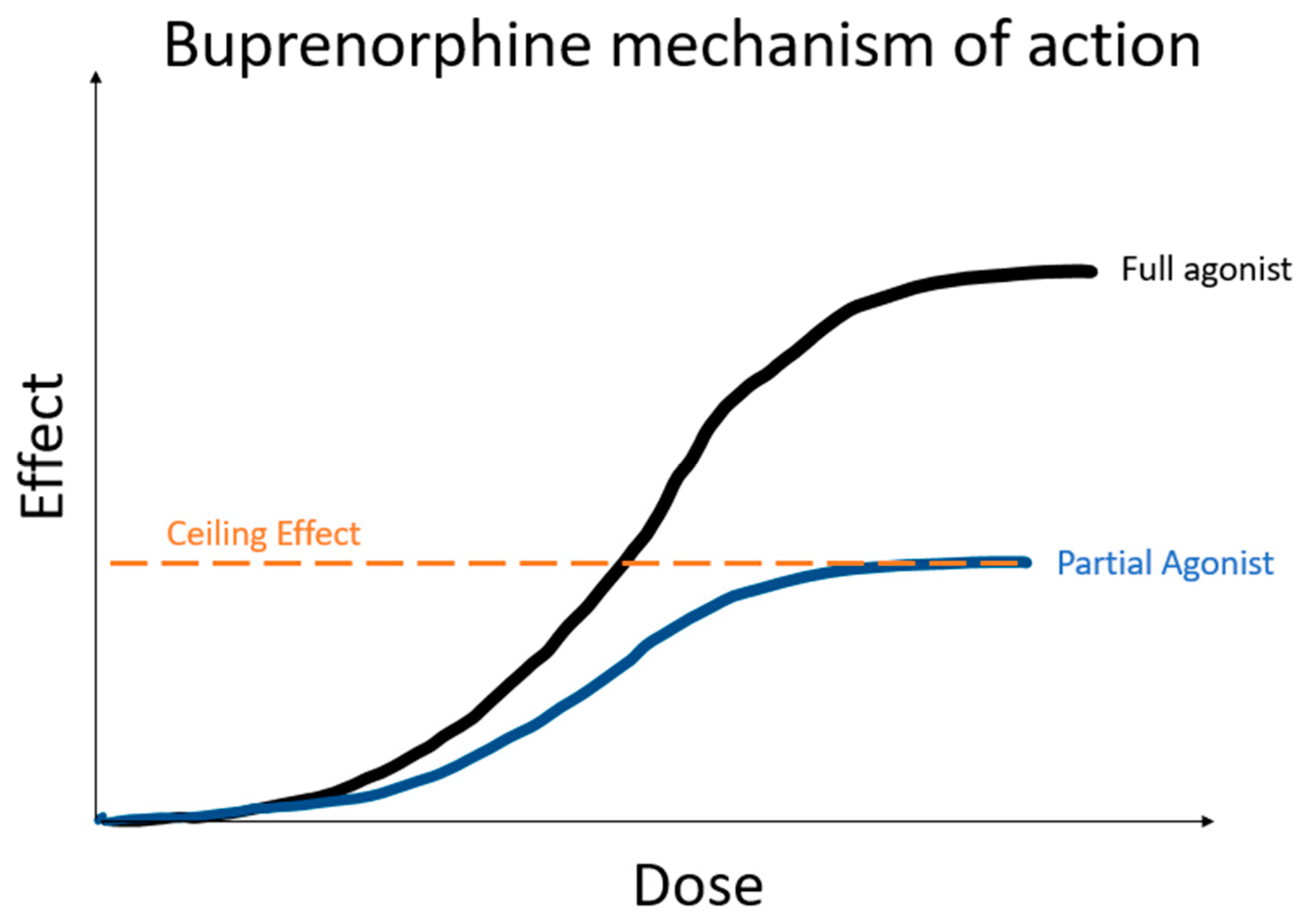 Perioperative Buprenorphine Management and Postoperative Pain Outcomes: A Retrospective Study ...
