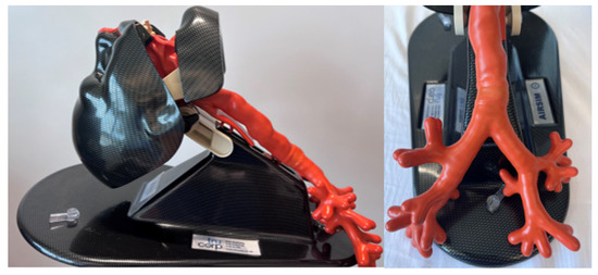 International Medical Education | An Open Access Journal from MDPI