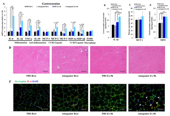 Immuno | An Open Access Journal from MDPI