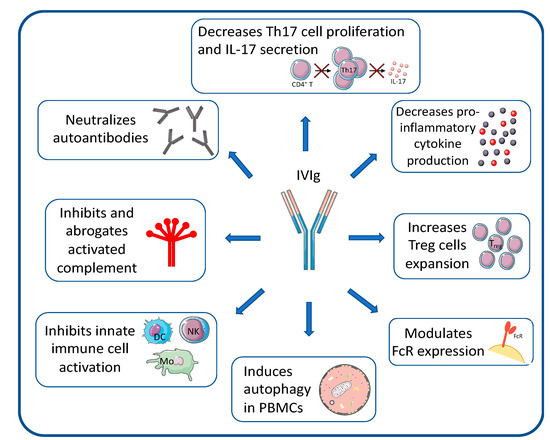 CIDP: Current Treatments and Identification of Targets for Future ...