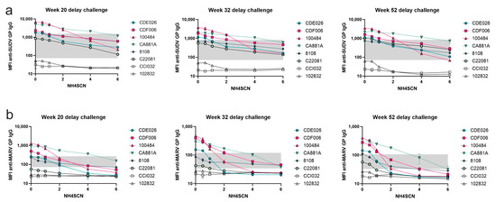 High-Avidity Anti-Filovirus IgG Elicited Using Protein Subunit Vaccines ...